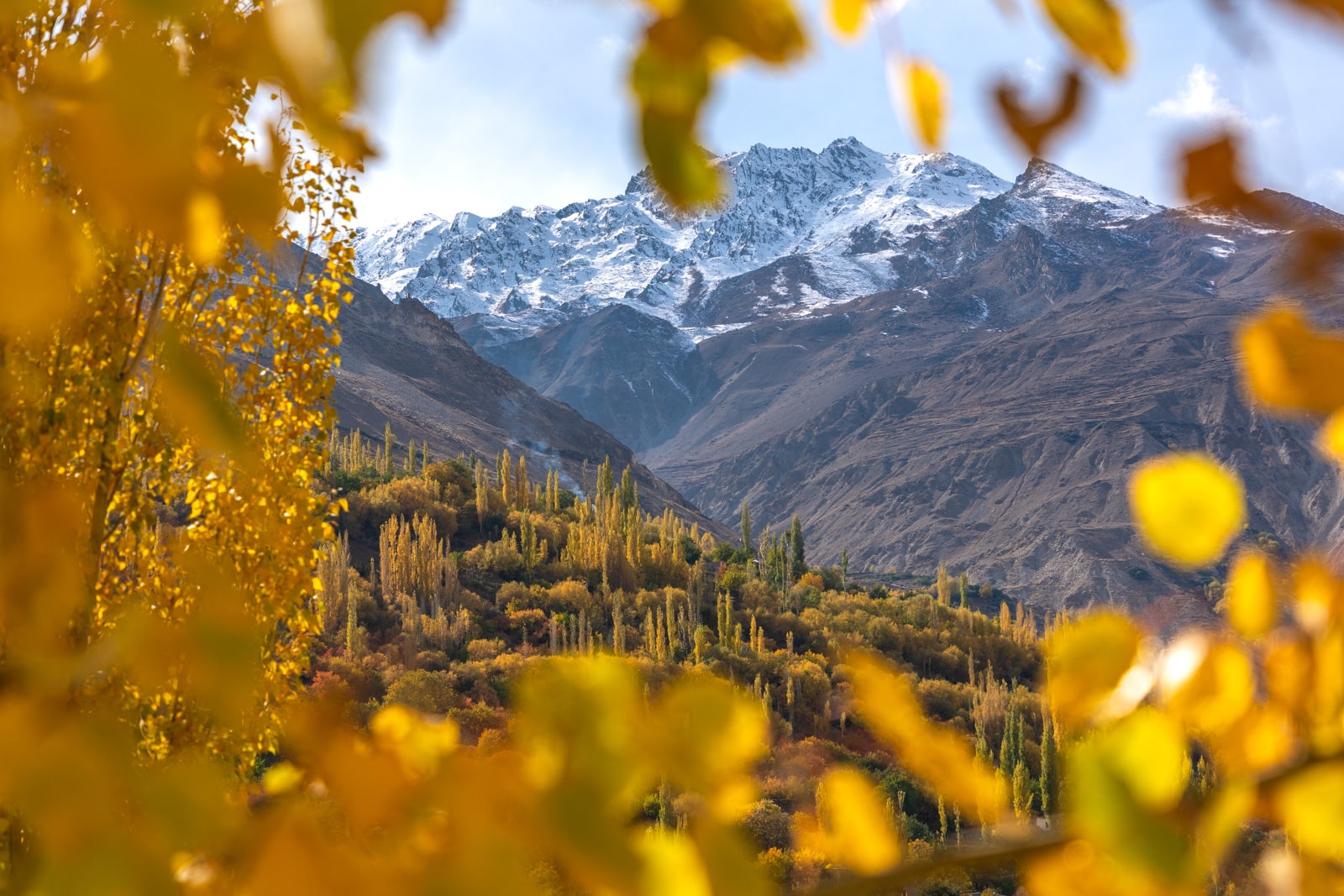 Pakistan women's tours in 2021 | Lost With Purpose