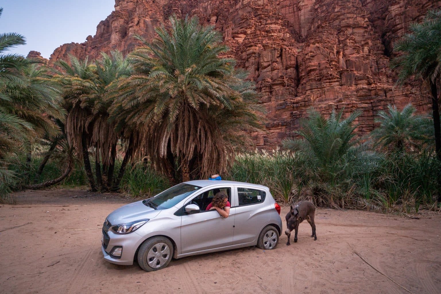 Saudi Arabia Road Trip: Guide To Traveling Saudi By Car | Lost With ...